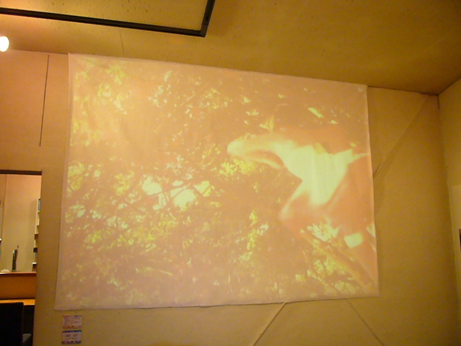 PHOTO -vol.04- 「TRICHROISM」展示風景