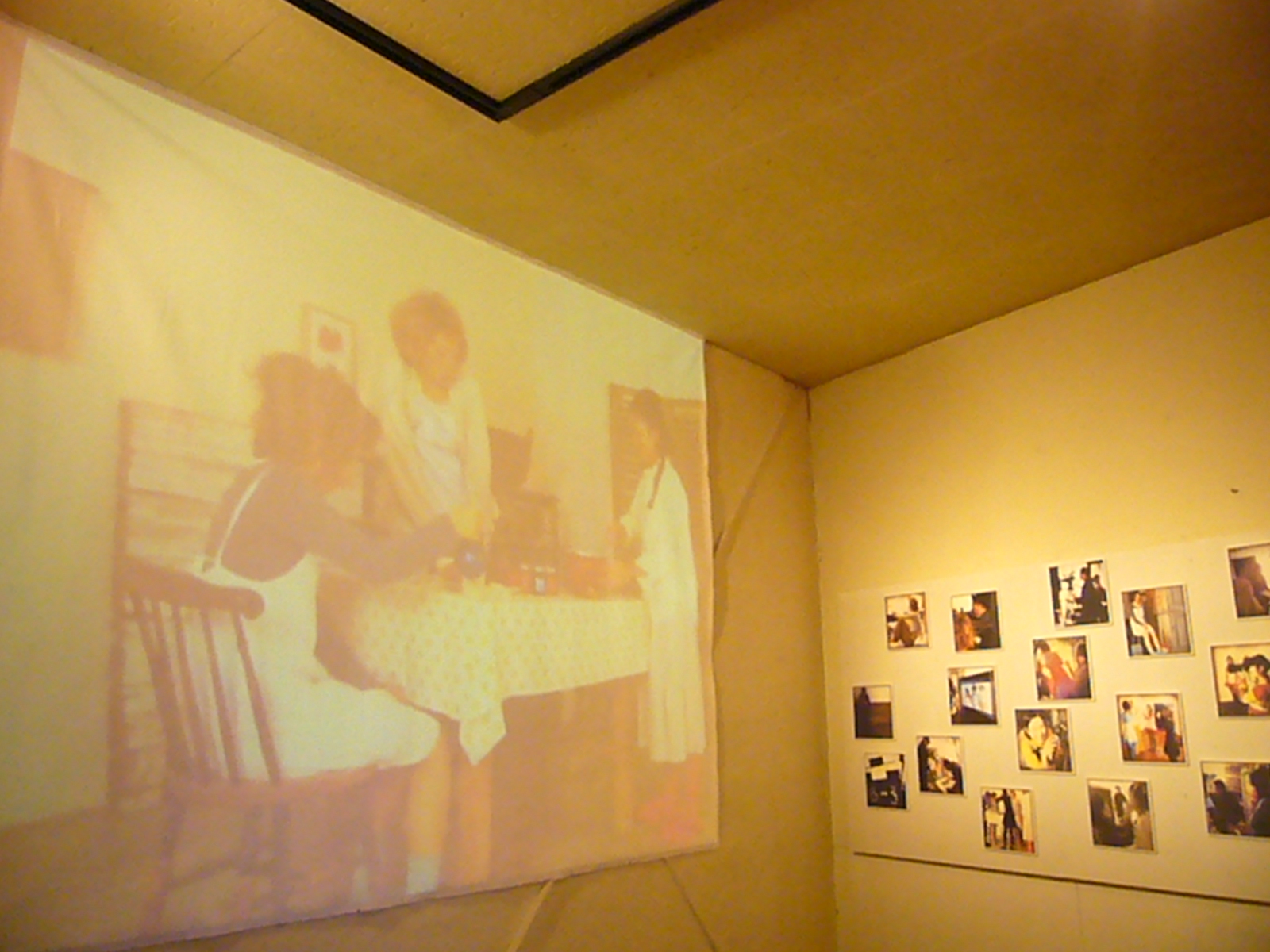 PHOTO -vol.04- 「TRICHROISM」展示風景