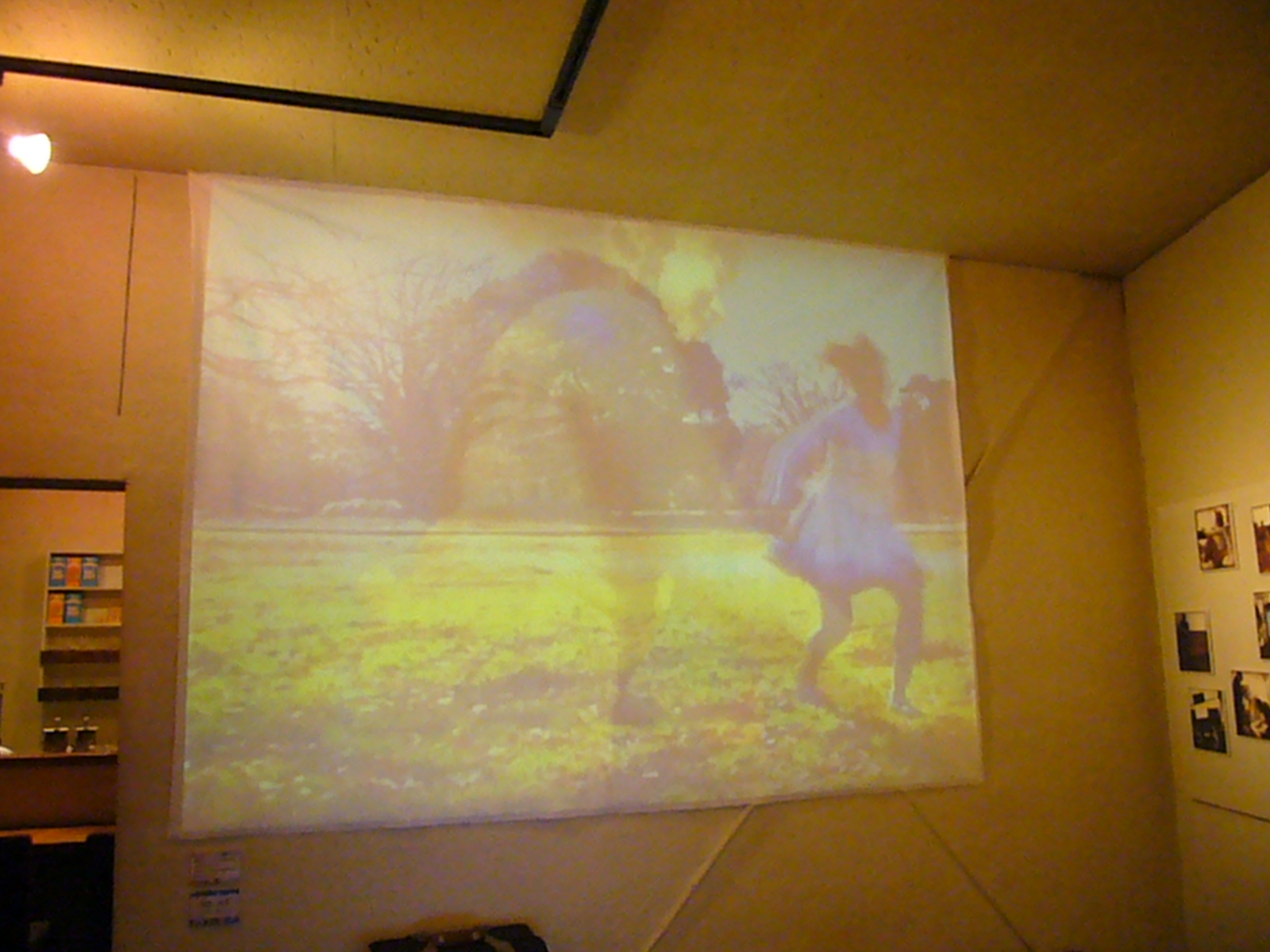 PHOTO -vol.04- 「TRICHROISM」展示風景