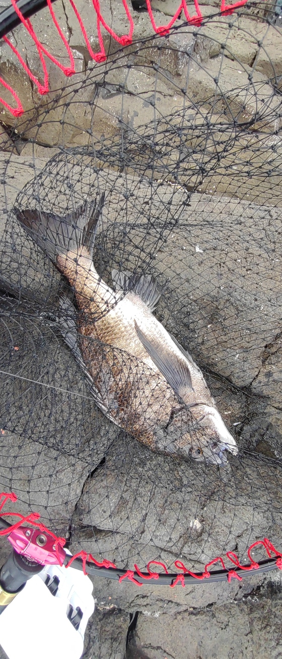 2024年 釣果記録